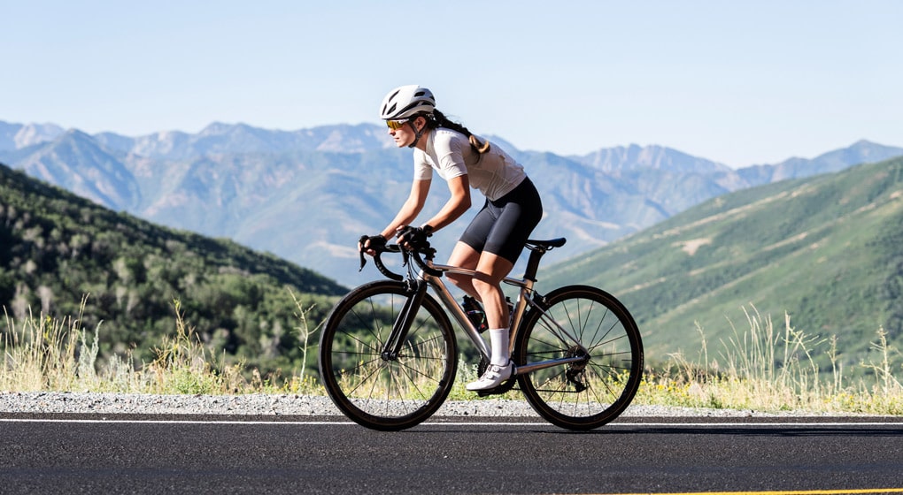 AA SHIELD – SHIELDING THE BRAVE